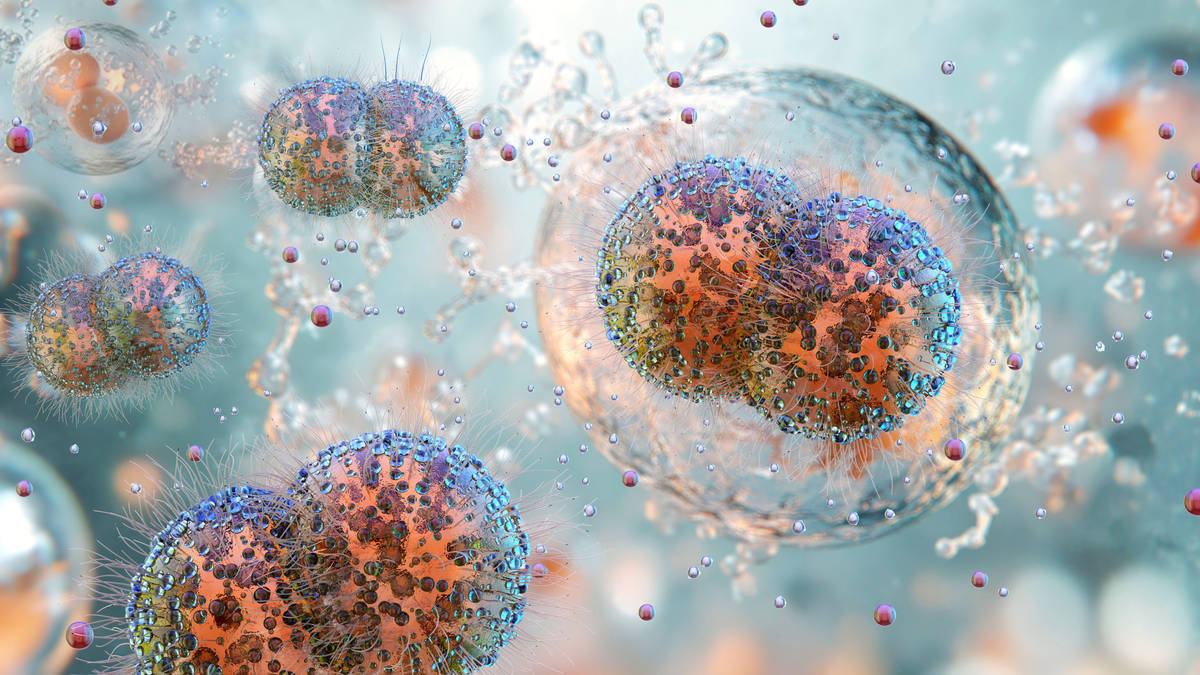 ‘concerning Rise In Antibiotic Resistant ‘super Gonorrhoea Uk Health 9504