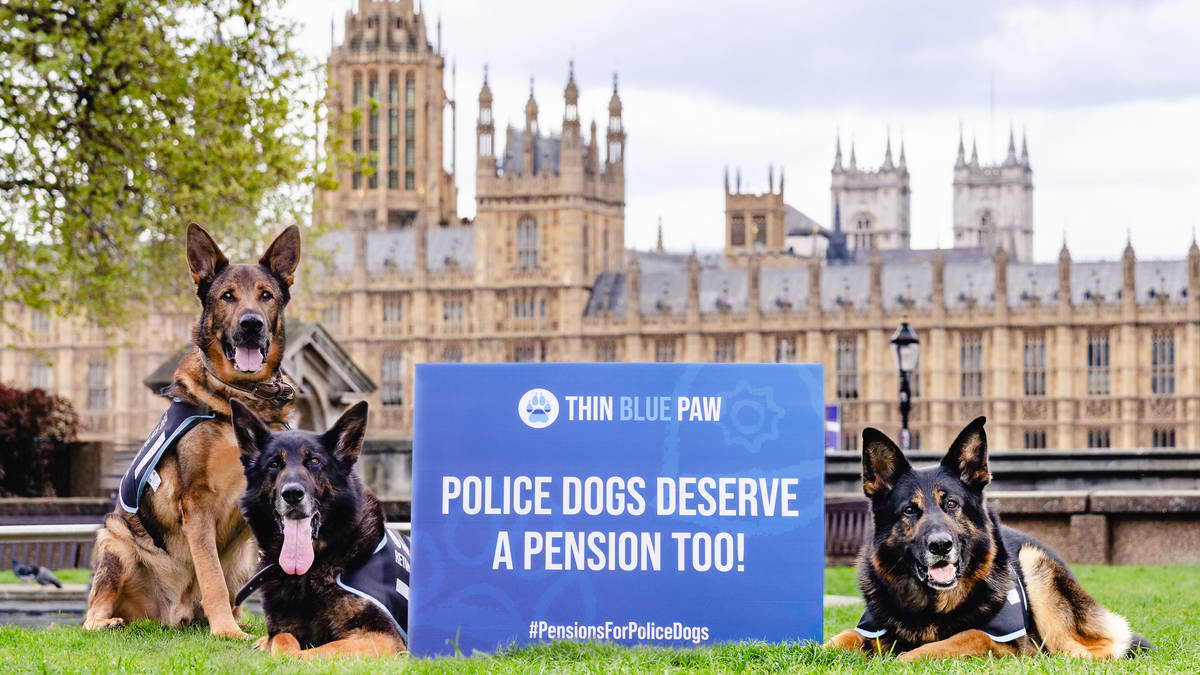 Ministers urged to give pensions to retired police dogs | LBC