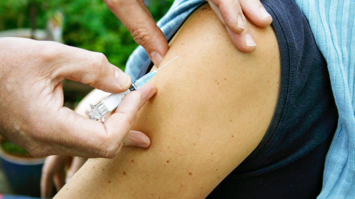 Record number of travel-linked typhoid cases as experts urge travellers ...