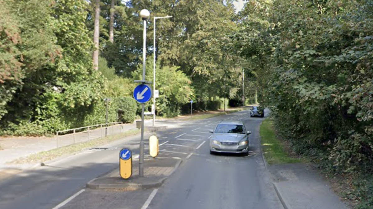 Woman ‘repeatedly punched in head and pushed out of speeding van’ as ...