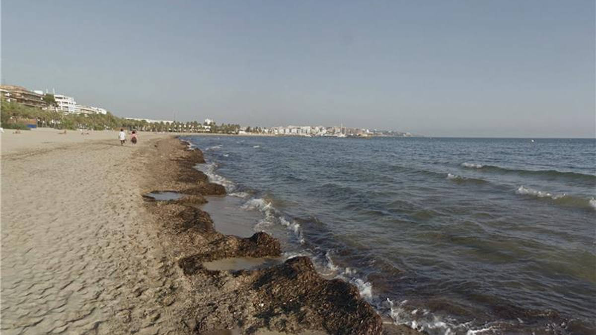 Tragedy as two British siblings, 11 and 13, drown in front of their ...