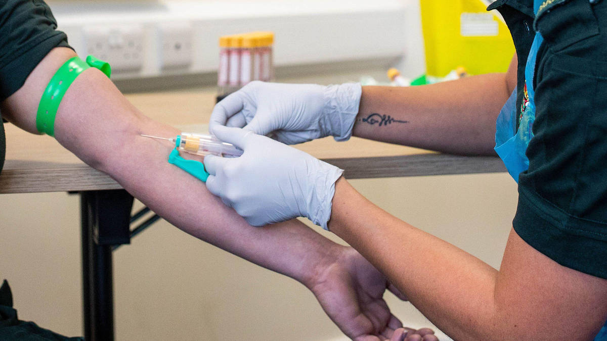 ‘Breakthrough’ as scientists develop world’s first blood test to ...