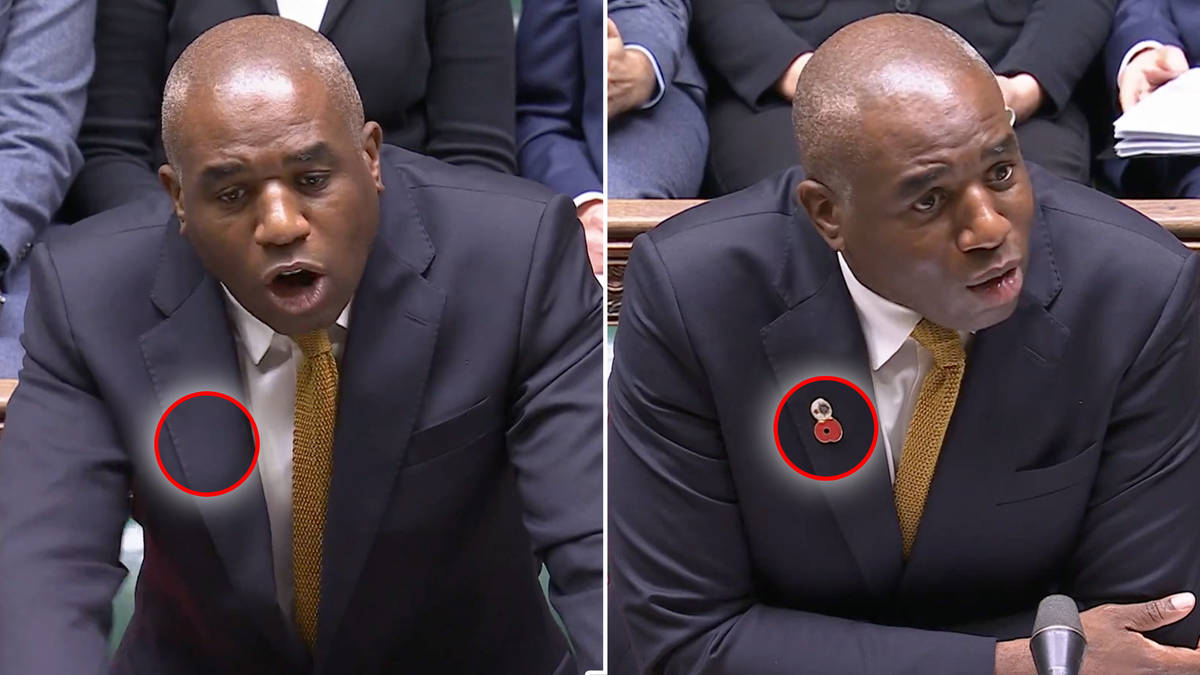 David Lammy sparks backlash after Deputy PM caught without a poppy at ...