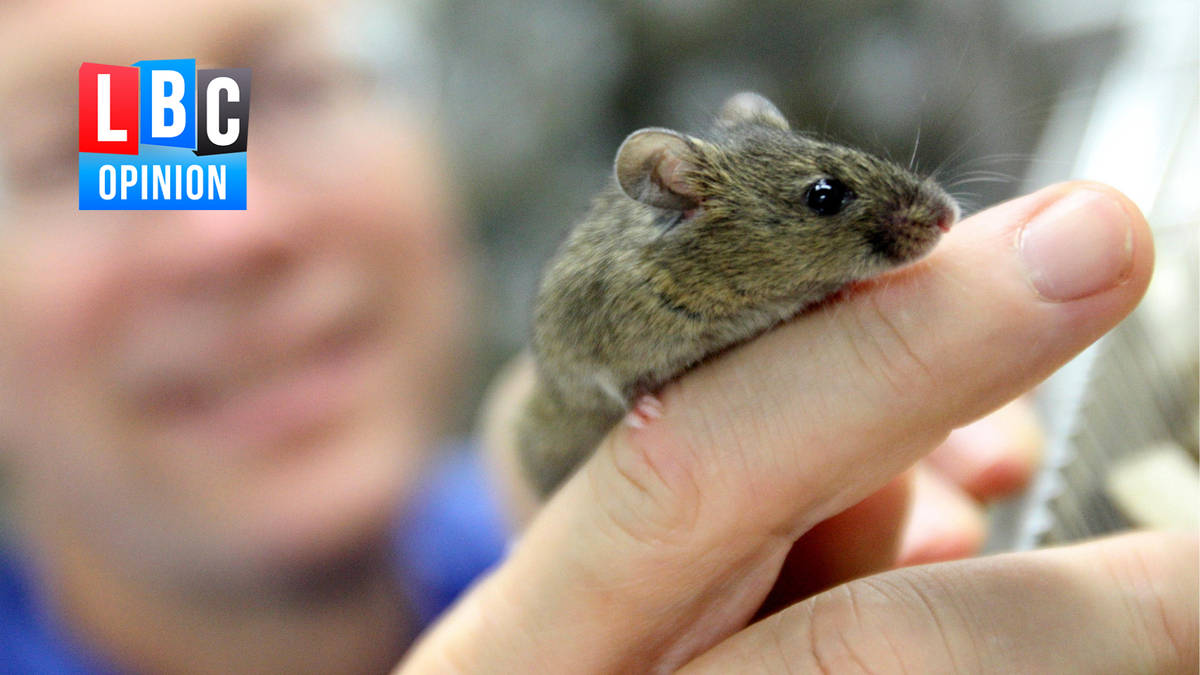 Britain’s animal testing problem is holding back scientific progress | LBC