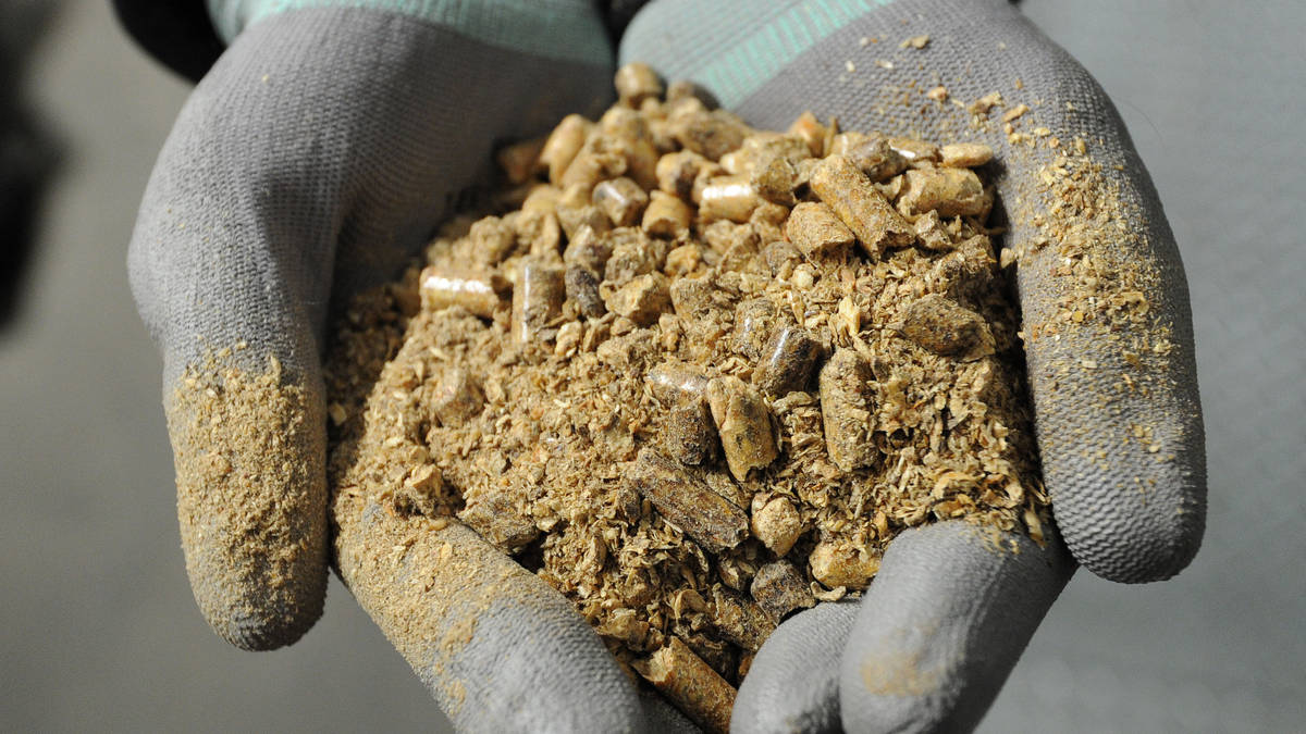 Drax announces data centre plans as earnings expected at ‘top end’ of ...