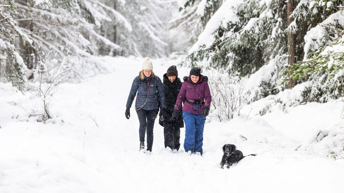 'Weather bomb' to batter UK as Storm Goretti brings 'multi-hazard event ...