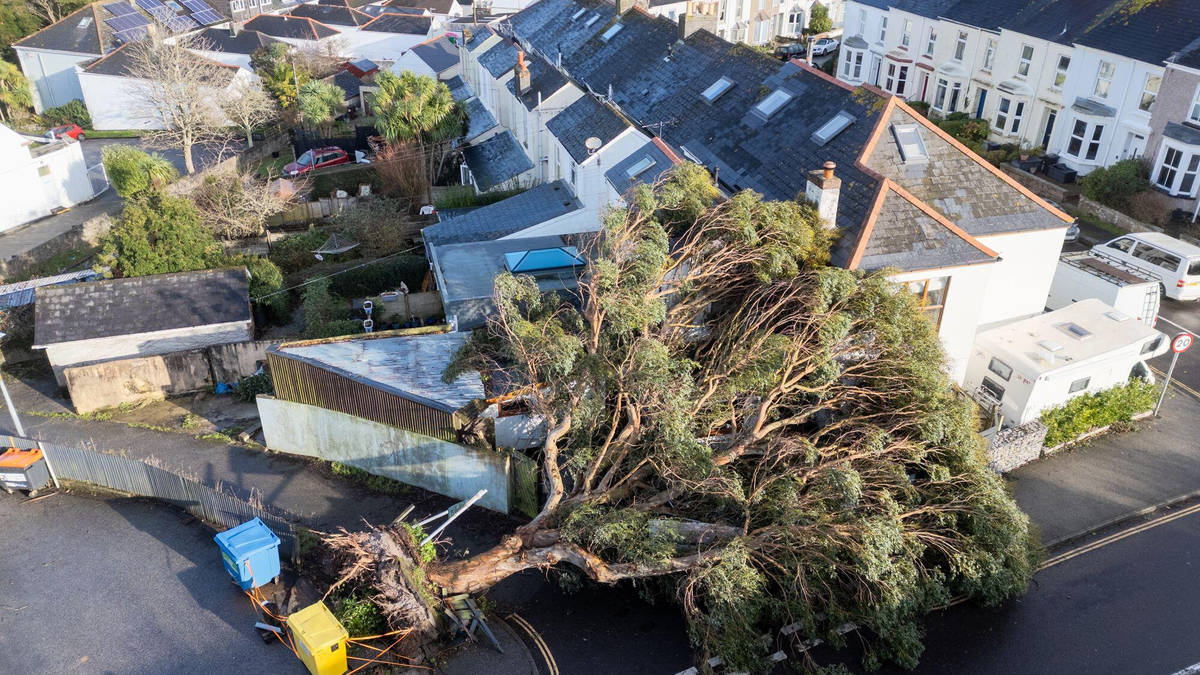 Man found dead after tree falls on caravan during Storm Goretti | LBC