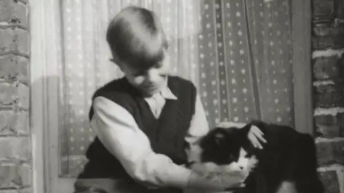 David Bowie's childhood home to open to public for first time offering ...