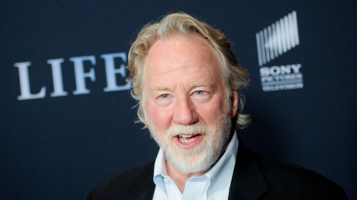 Arrest warrant issued for West Wing's Timothy Busfield following child ...