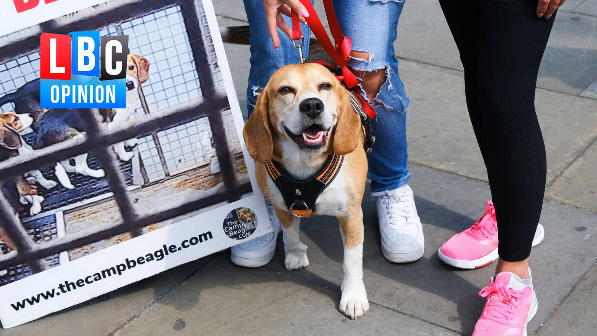 The Government wants to ban our protest against animal testing - this ...