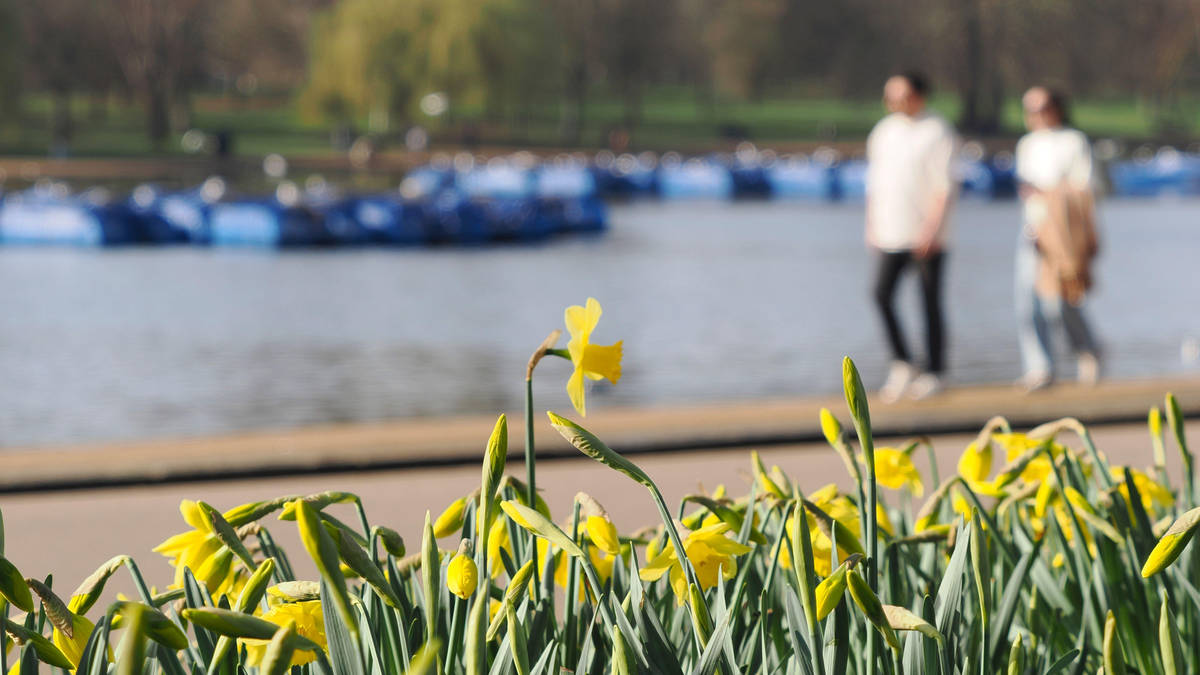 What is a Spring of Deception, as UK weather forecast shows cooler ...